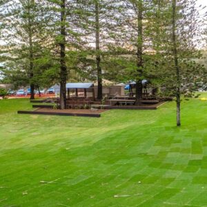 Ed Webb Park, Noosa - Draffin Street Furniture